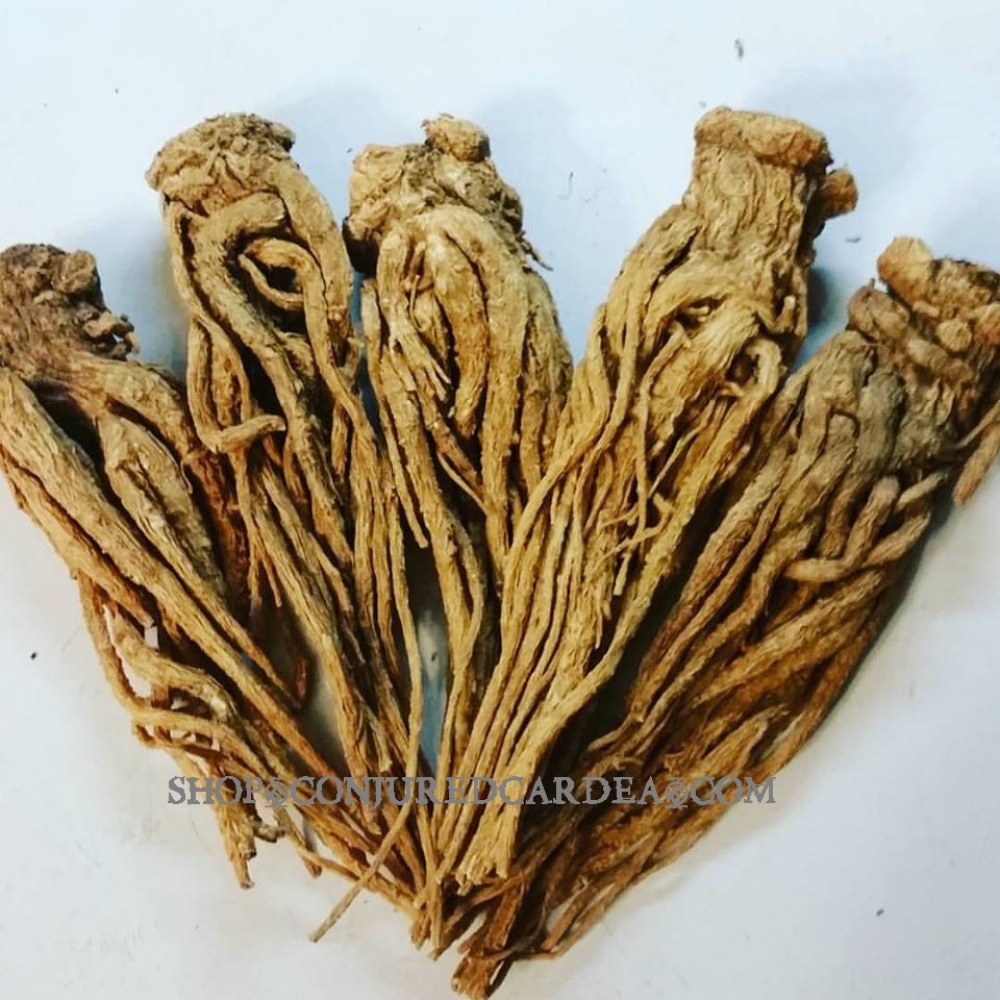 MasterRoot-Holy Ghost Root-Hoodoo, Voodoo, Wicca, Witchcraft-Protection ...